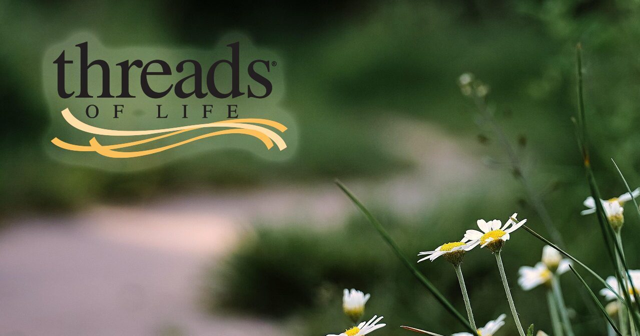 Announcing: Steps for Life Challenge Winners 2025! - Threads of Life